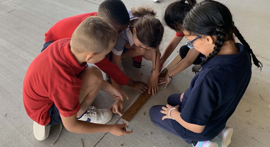 Home - Mickleham Primary School